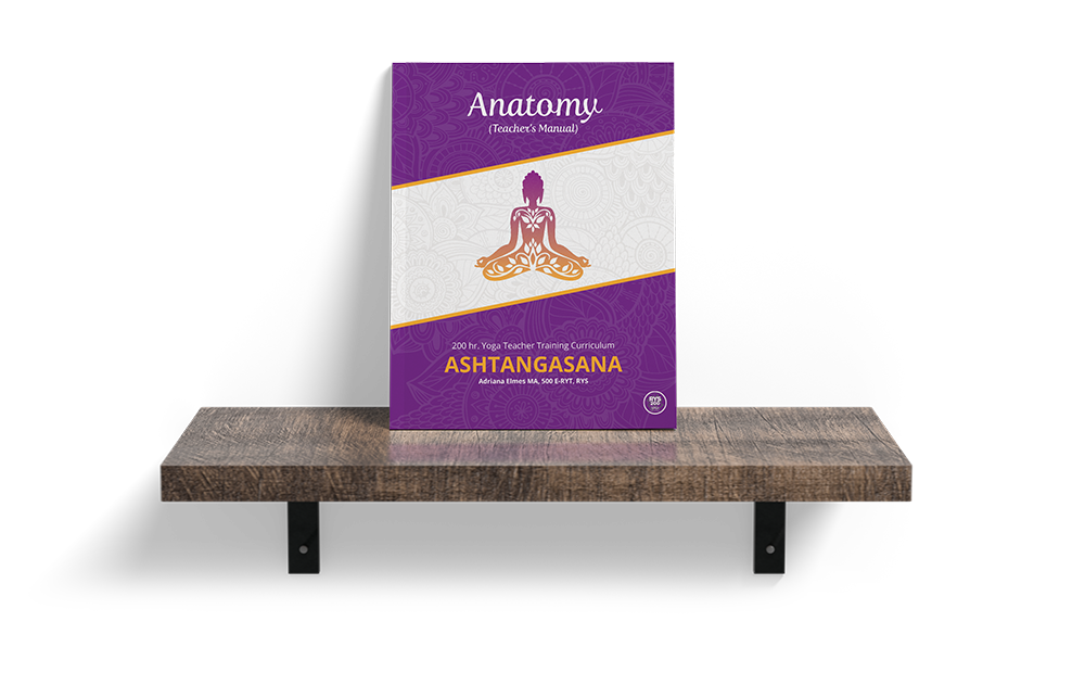 Anatomy - Ashtangasana Yoga Studio Training
